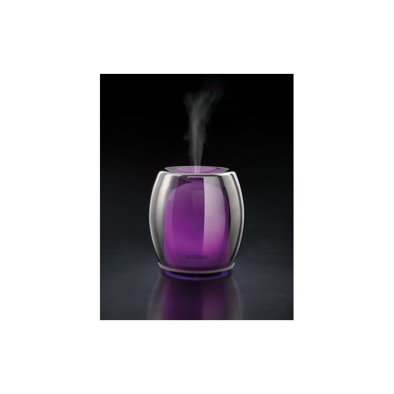 DIFFUSEUR ELECTRIQUE SILVER COLOR